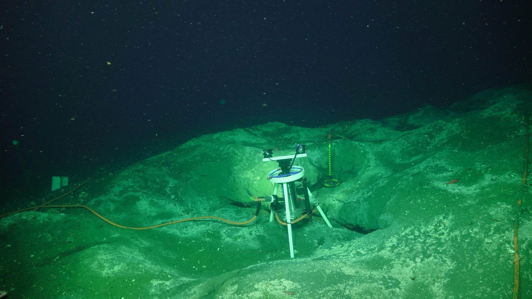 Community Expansion of the Regional Cabled Array – Ocean Observatories ...