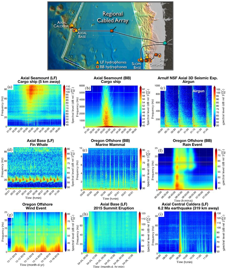 An Overview of Ambient Sound Using OOI Hydrophones - Ocean ...