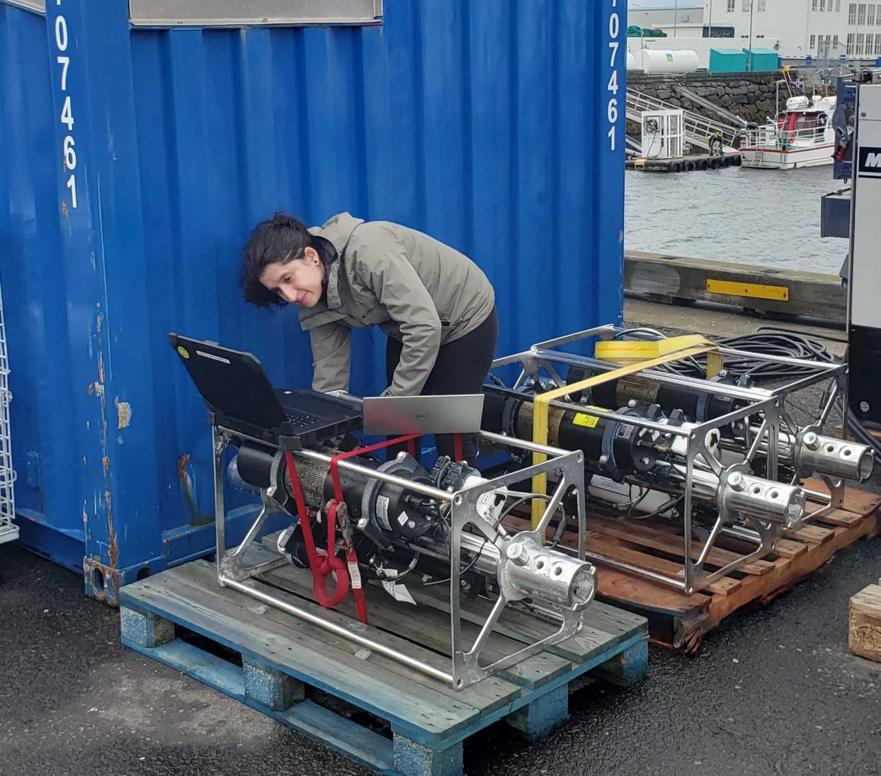 Tenth Refresh of the Irminger Sea Array - Ocean Observatories Initiative