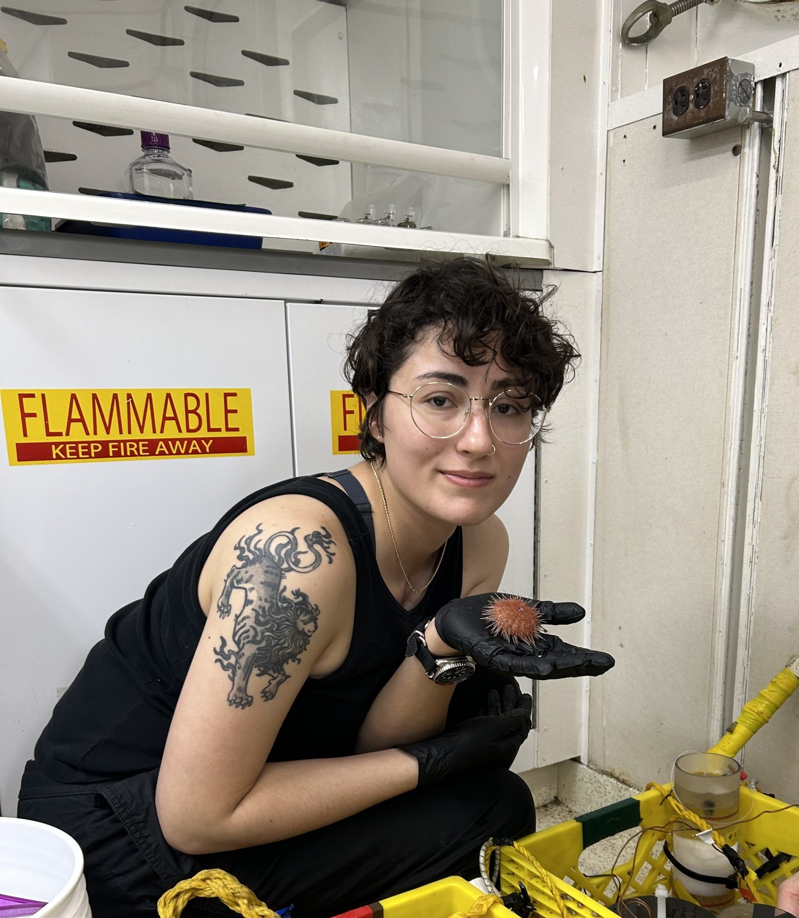 Life at Sea: Student Reflections from the VISIONS’24 (Leg 2) Expedition ...