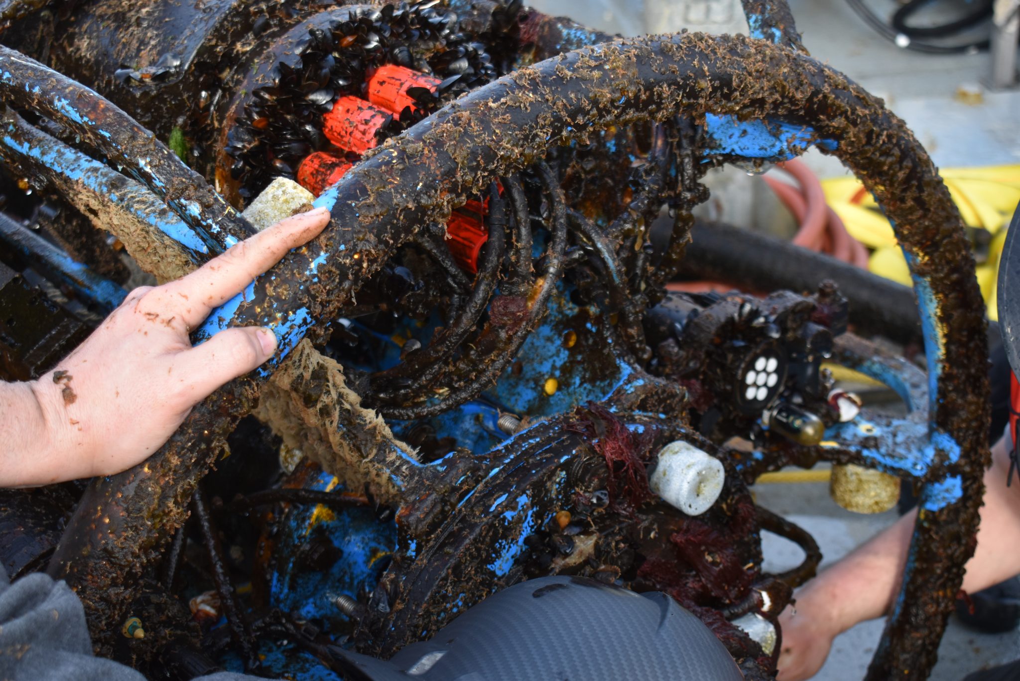 Biofouling Preventatives on Surface Mooring Instrumentation - Ocean ...