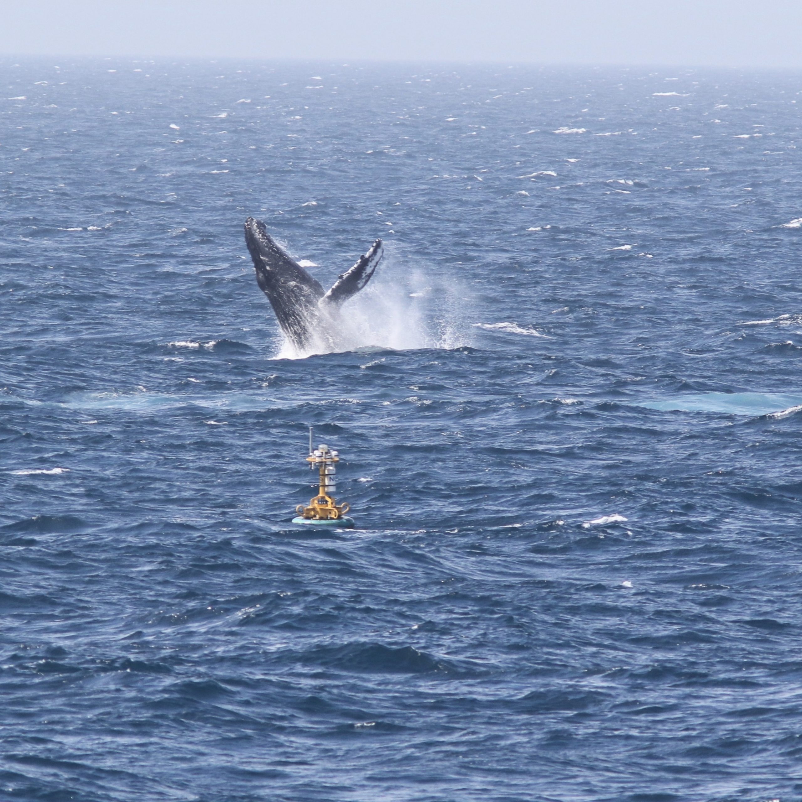 Why OOI Matters on World Oceans Day - Ocean Observatories Initiative